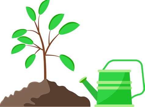 Free Pflanze Und Baum PNG With Transparent Background