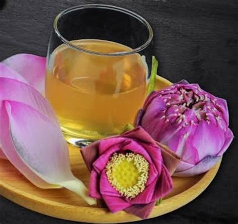 Lotus Teathai Lotus Tealotus Flower Teaherbal Lotus Teaexotic Tea