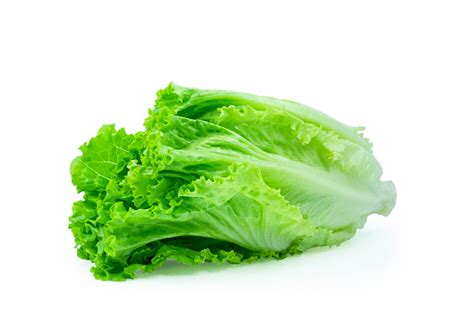신선한 녹색 양상추 잎 흰색 배경에 고립 된 샐러드 잎 클리핑 경로와 함께 0명에 대한 스톡 사진 및 기타 이미지 0명