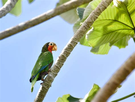 Birdseye Photography Review Photos