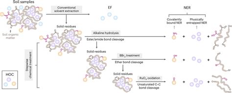 workflow of solvent extraction and stepwise chemical download