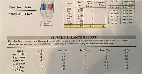 Dexa Results Album On Imgur