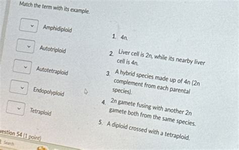 Solved Match The Term With Its