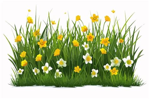 Vibrant Green Grass With Yellow And White Flowers Isolated On White