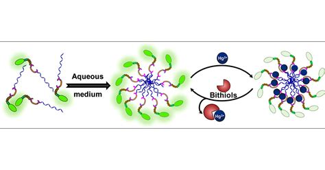 Multifunctional Fluorescent Nanoprobe For Sequential Detections Of Hg2 Ions And Biothiols In