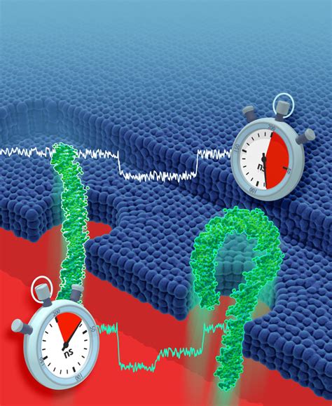 Dna Base Specific Modulation Of Microampere Transverse Edge Currents