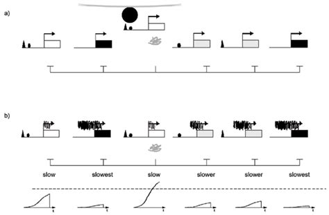 Two Stochastic Models For Mutually Exclusive Or Transcription Download Scientific Diagram