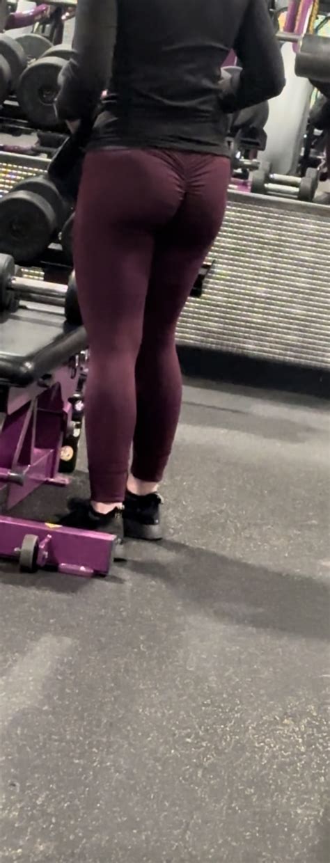 Slim Thick Gym Body Leggings Eating Ass Squatting Mound Vid Spandex