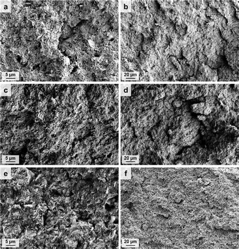 Cross Section SEM Images Of Graphene Filaments With Different Inorganic