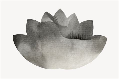 Lotus Flower Drawing Black And White