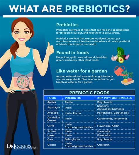 The Top 33 Prebiotic Foods For Your Digestive System Prebiotic Foods