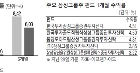 삼성그룹株 펀드 조정장서도 강했다