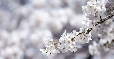 4月1日生まれも「早生まれ」になる理由 ハフポスト News