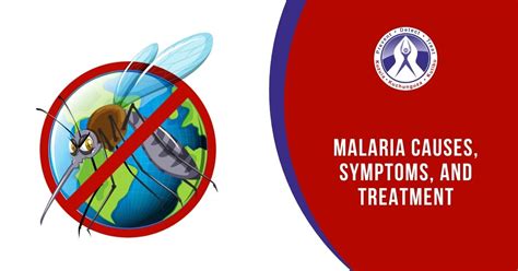 Malaria Causes Symptoms And Treatment Regency Medical Centre