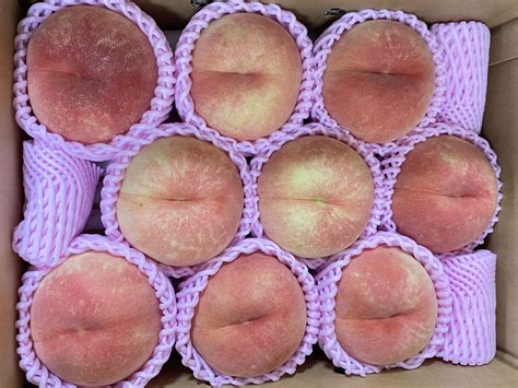 先行予約 ️🍑幸茜🍑3キロ箱8玉〜12玉化粧箱：山形県産の幸茜｜食べチョク｜産地直送産直お取り寄せ通販 農家・漁師から旬の食材を直送