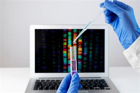 Tomé la decisión de realizar una prueba de ADN a mi nieta sin que sus