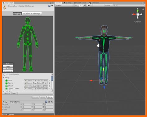 Unity Live Character Setup