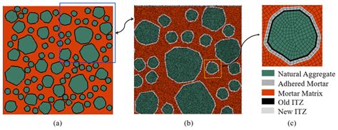 The Meso Scopic Model Of Rac A Aggregate Model B Meso Meshing Download Scientific