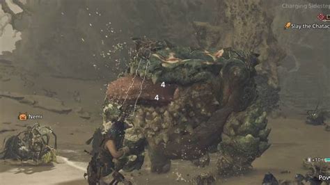 How To Beat Chatacabra In Monster Hunter Wilds