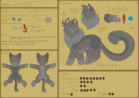 Part Two Of Drawing Warrior Cat Ref Sheets Yall Really Wanted Good Ol