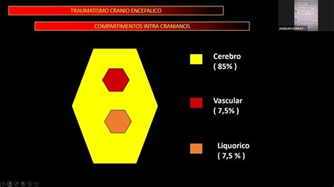 Traumatismo Crânio Encefálico Youtube