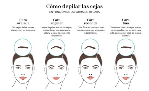 Cómo Depilar Las Cejas Guía Paso A Paso ️ Douglas