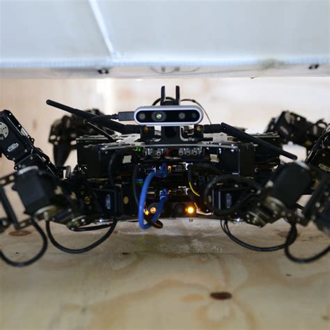 The Hexapod Robot Weaver Adapting Its Walking Posture To Pass Under An