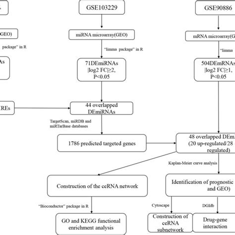 The Basic Framework Of This Analysis Download Scientific Diagram
