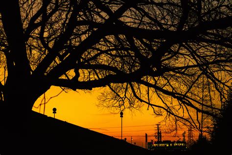 夜の帳が降りる頃 by toshiboo ID7536525 写真共有サイト PHOTOHITO