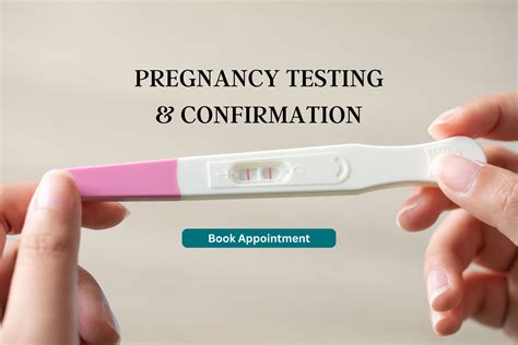 Free Pregnancy Testing In Florida
