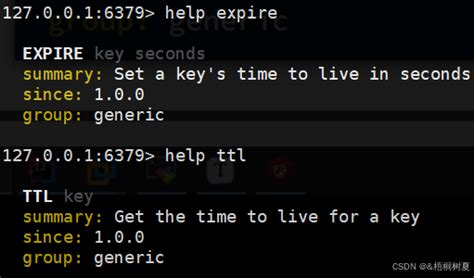 Redis 通用命令 Csdn博客