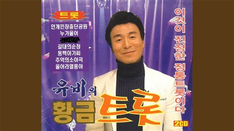 안개낀장충단공원 Youtube