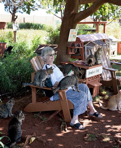 2ページ目猫カフェどころじゃない至福の時間 猫好きマストgo！な南の島の楽園