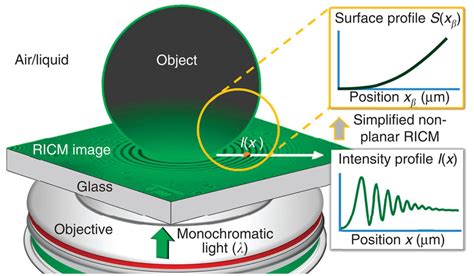 Schematic Of Surface Profile Reconstruction Interference Fringe Download Scientific Diagram