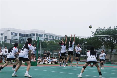 我校2023年春季体育文化节（第四场）大学生排球比赛圆满闭幕 欢迎光临广州工商学院