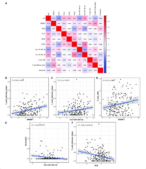 The Co Expression Analysis Between The Identified Hub Genes And