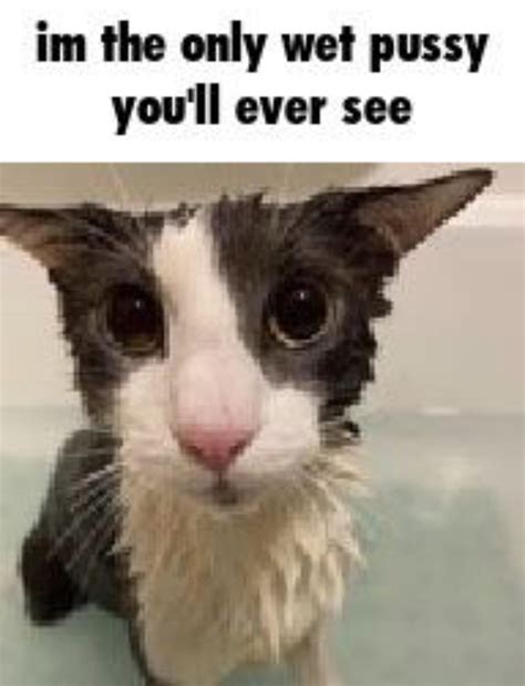 Help I Think I Accidntally Hit A Shallow Styro In The Restroom And It