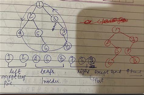 boundary traversal of a binary tree abhinay gupta medium