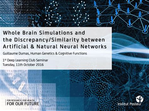 Whole Brain Simulations And The Discrepancysimilarity Between
