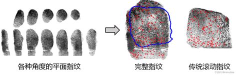 指纹识别综述2 指纹传感器玻璃基指纹传感器 Csdn博客