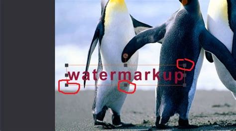 How To Resize Watermark Text And Logo With Watermarkup Watermarkup Blog