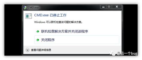 【进阶】除数为0，程序会奔溃吗？ 技术阅读 半导体技术