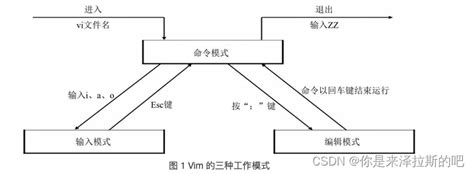 Linux入门级教学 常见工具介绍及其使用linux工具如何使用 Csdn博客