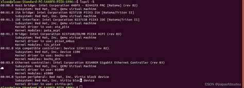 Qemu添加自定义pci设备qemu中新增模块 Csdn博客