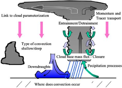 Schematic Of The Ifs Mass Flux Convection Scheme Download Scientific Diagram