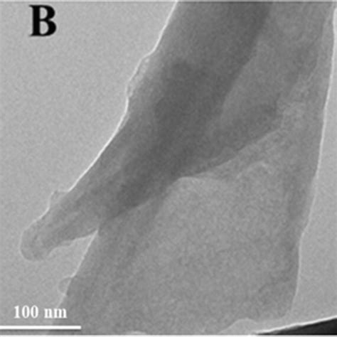 A The Ecl Intensities Of The Biosensor Incubated With Different Con A Download Scientific