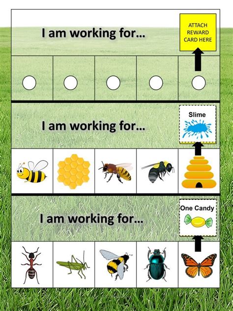 Editable Token Boards Bugs Special Education Etsy