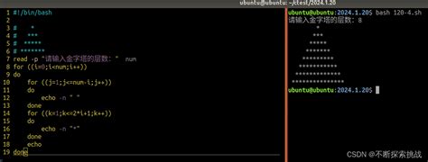 重生之我学c高级：shell作业 Csdn博客