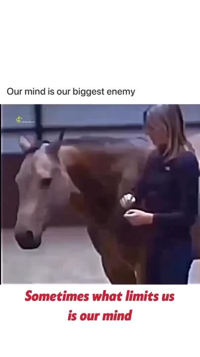 Akram Ansari Posted On Linkedin