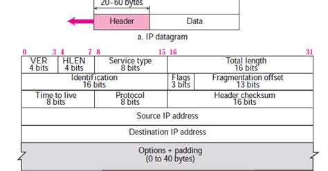 internet protocol ip datagram computer network notes
